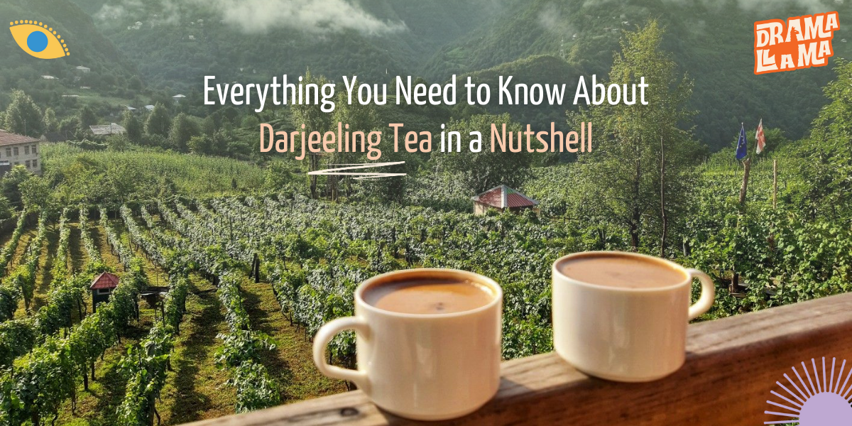 Feel the essence of Darjeeling Tea - DramaLlama